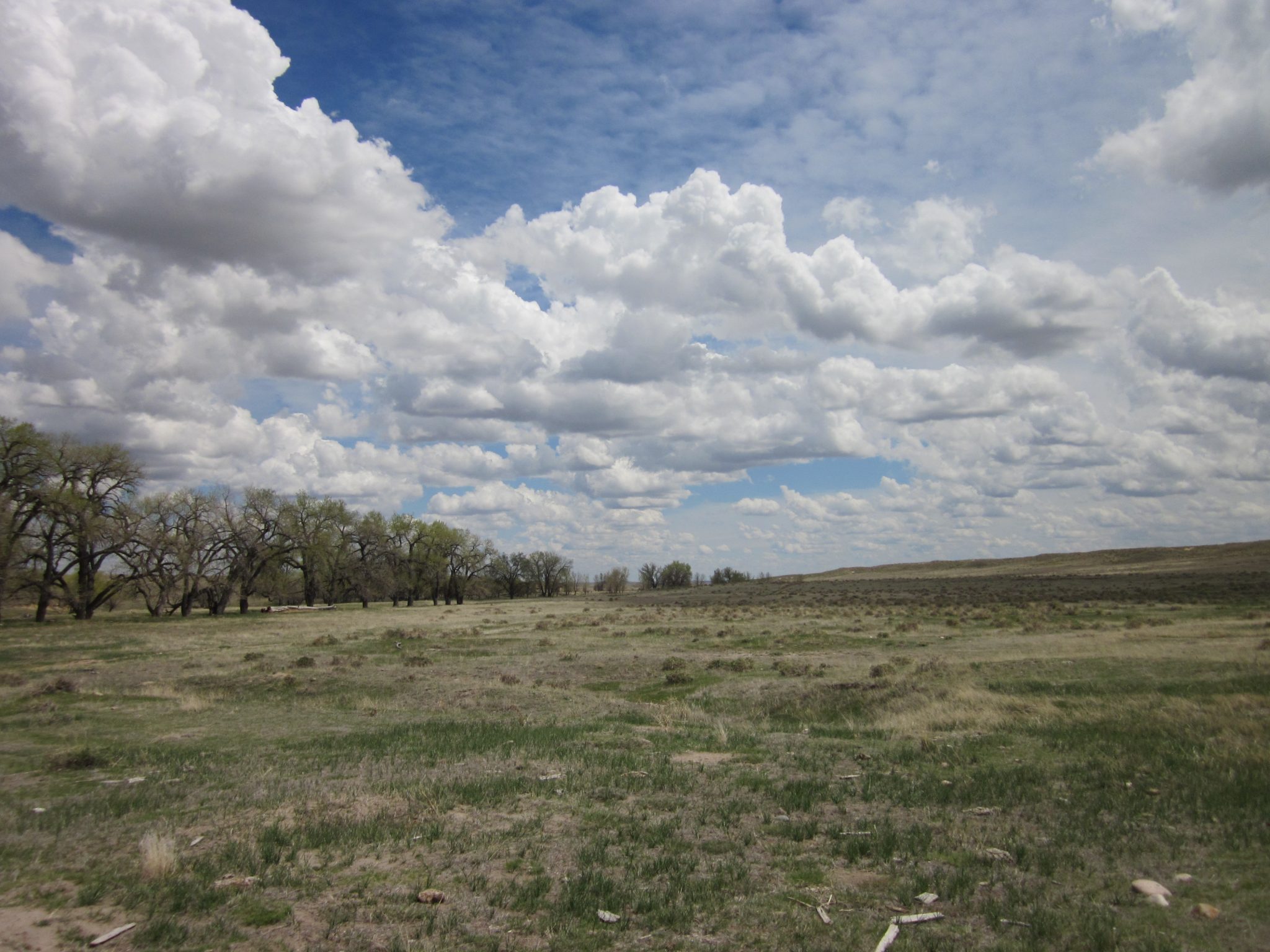 prairie | THE SEMI-ARID GRASSLANDS RESEARCH CENTER